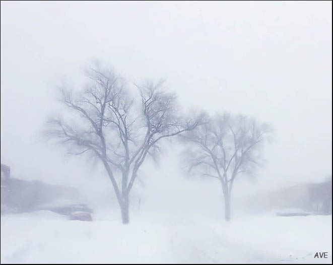 Photo Blizzard by A V E - landscape - PhotoForum.ru