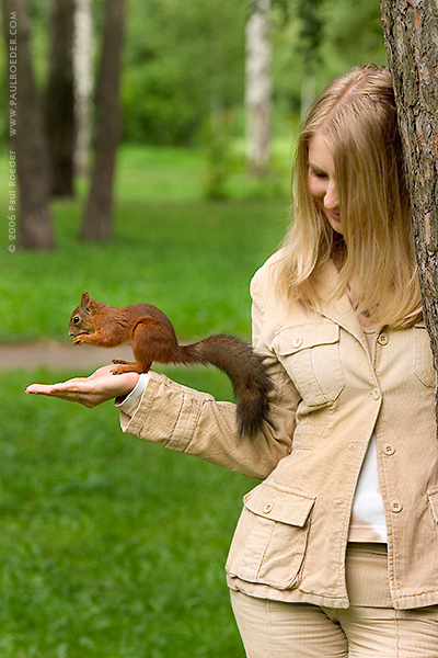 Photo Tame by Paul Roeder - portrait, glamour - PhotoForum.ru