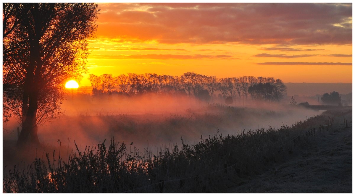 Photo Golden fog. by johny hemelsoen - landscape - PhotoForum.ru