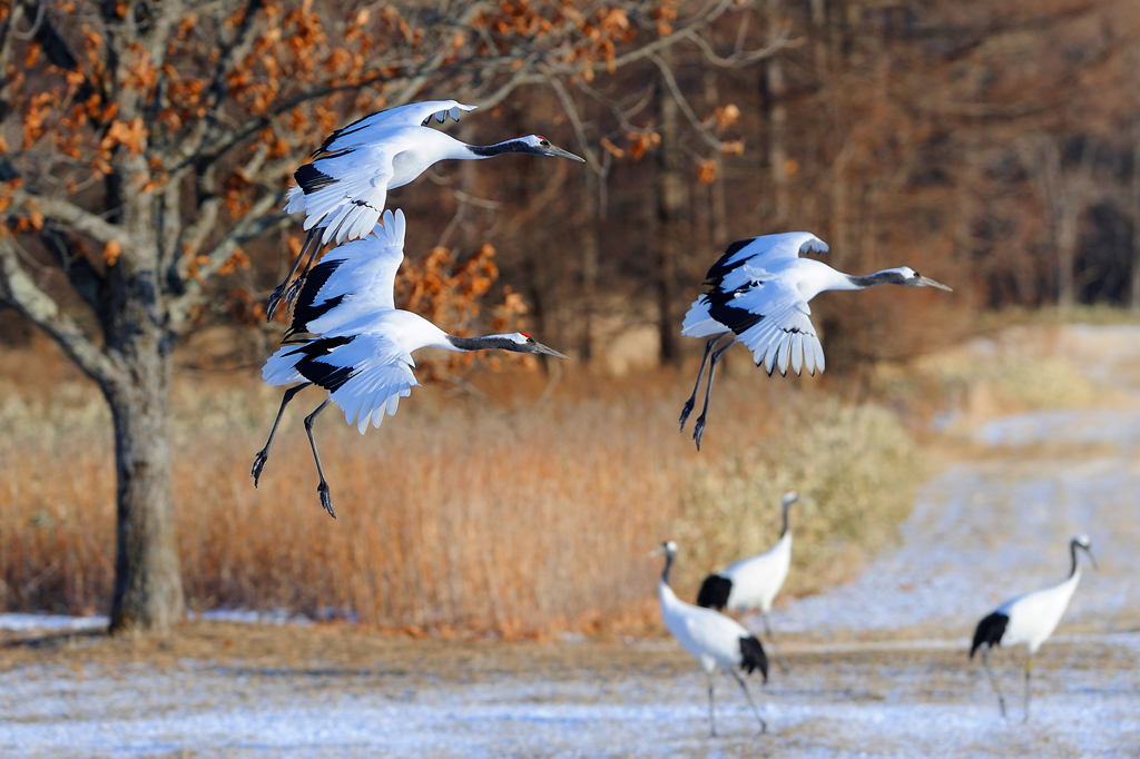 Photo *** by Alex Tish - landscape - PhotoForum.ru