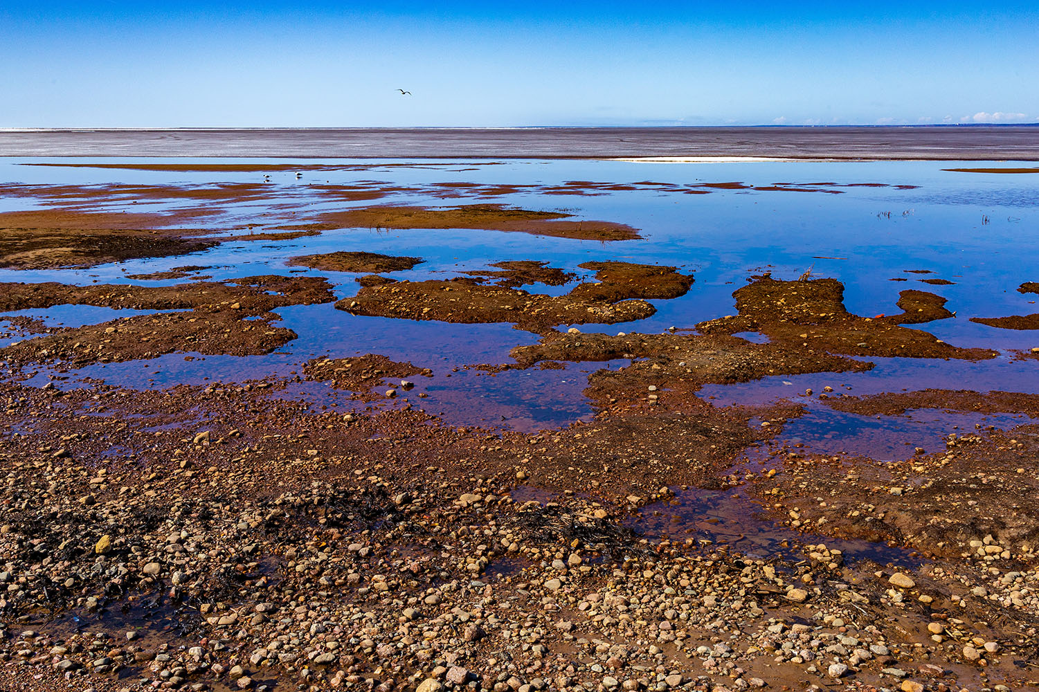 Photo *** by Petr Belyi - landscape - PhotoForum.ru