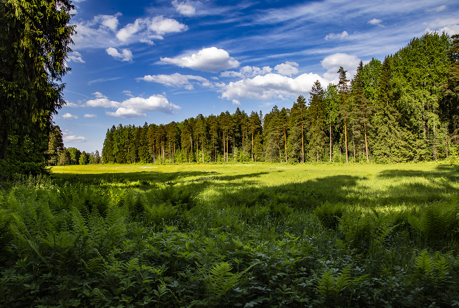 Photo *** by Petr Belyi - PhotoForum.ru